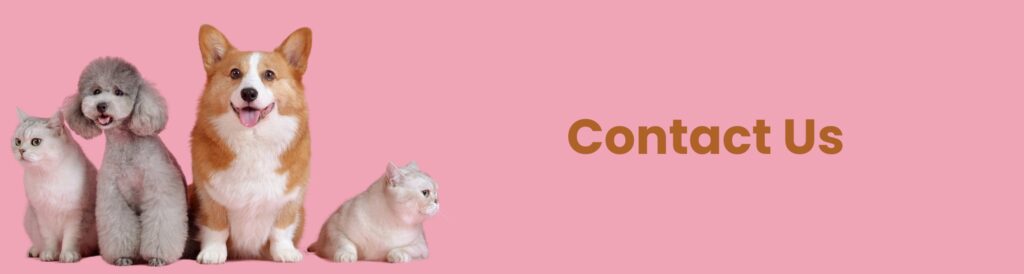 Contact us – EasyVet Clinic